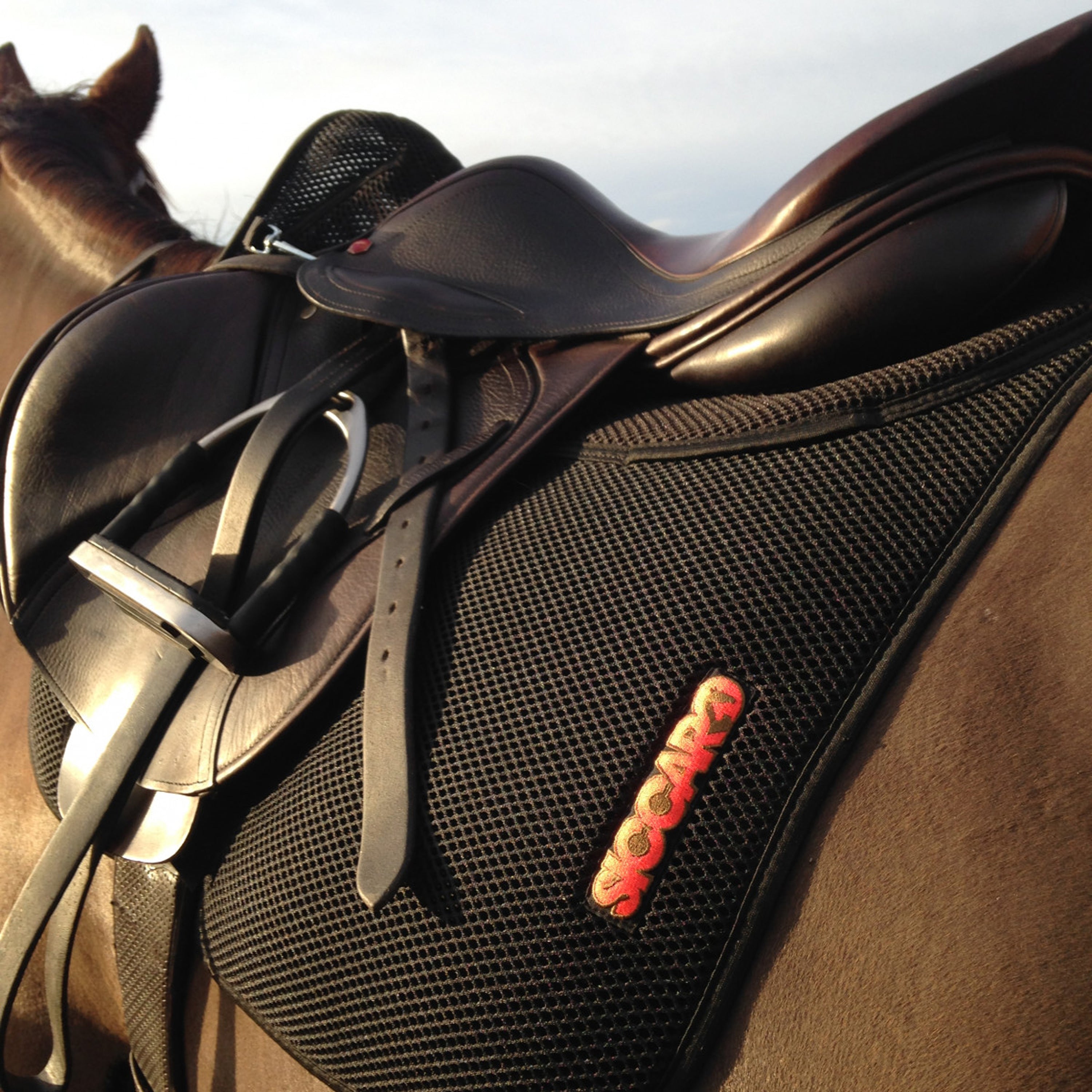 FlexPad Horse | Supportive Horse Saddle Pads | Siccaro